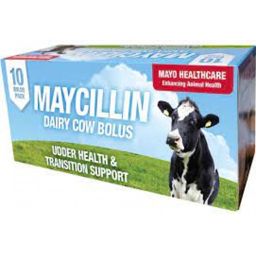 Maycillin Dairy Cow Tube